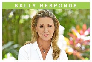 BOOKS – Sally Fernandez